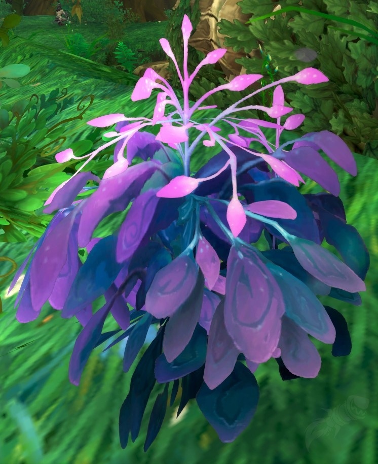Dreamleaf - Object - World of Warcraft