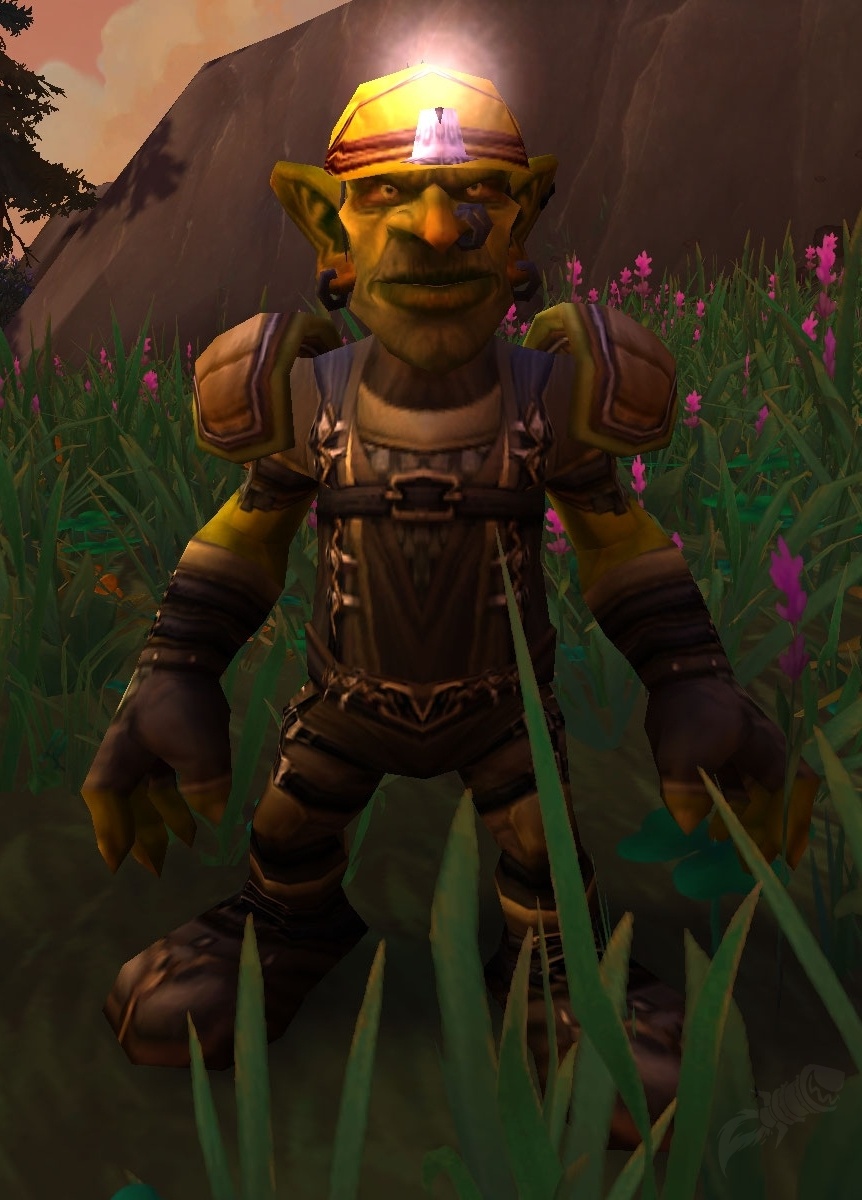 Resuelveproblemas Skitz - PNJ - World of Warcraft