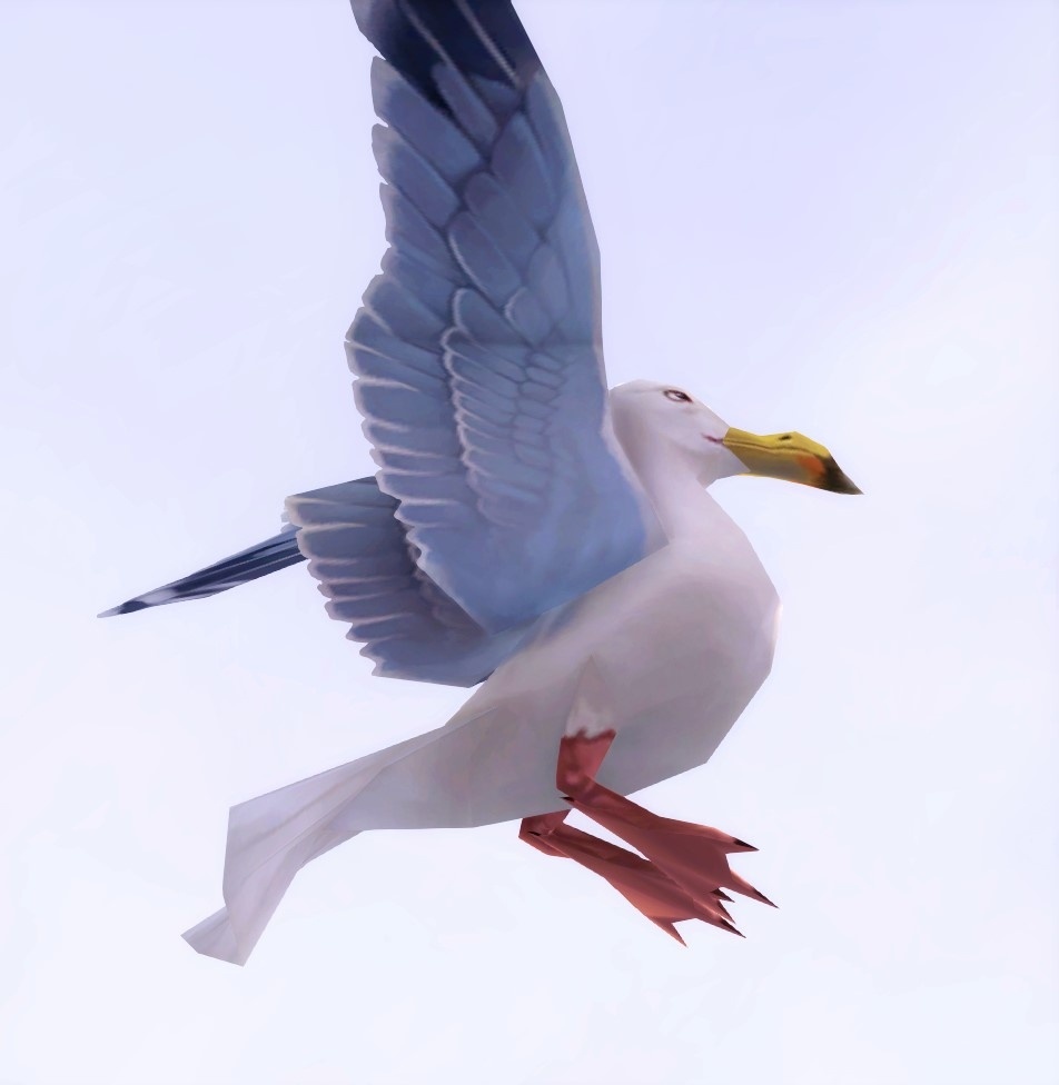 Shallows Seagull - NPC - World of Warcraft