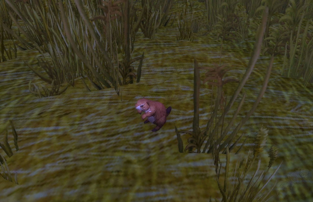 Prairie Dog - NPC - World of Warcraft