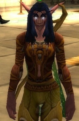 Jerkin of the Untamed Spirit - Item - TBC Classic