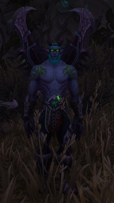 Baric Stormrunner - NPC - World of Warcraft