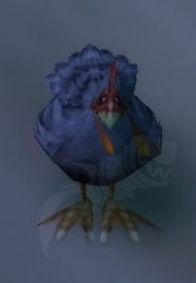 Ancona-Huhn - Gegenstand - World of Warcraft: Classic
