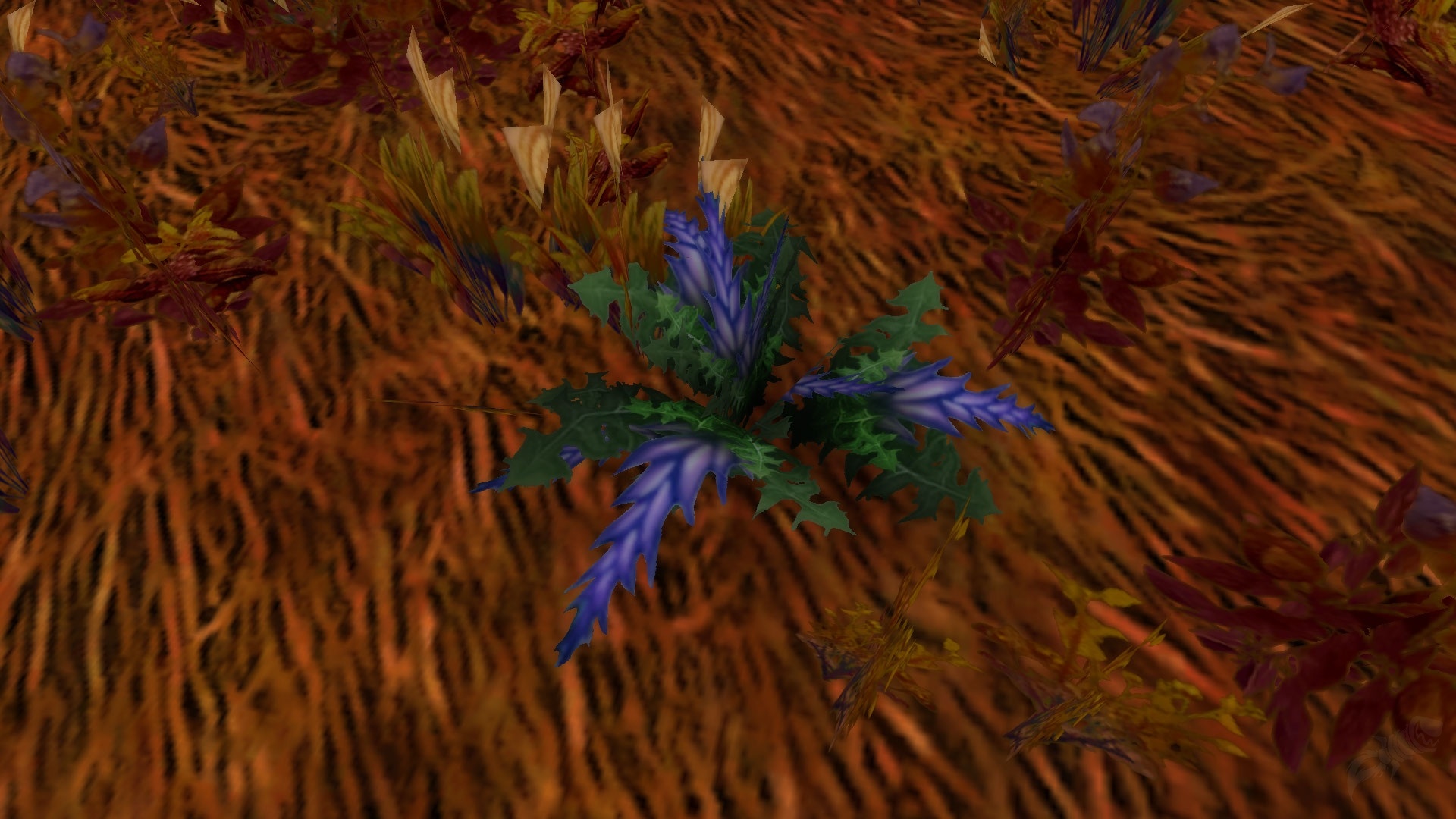 꿈풀 - 물체 - 월드 오브 워크래프트 오리지널