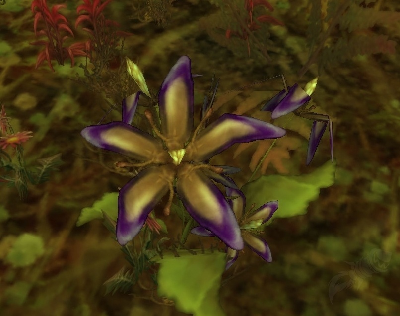 Plaguebloom - Object - Classic World of Warcraft