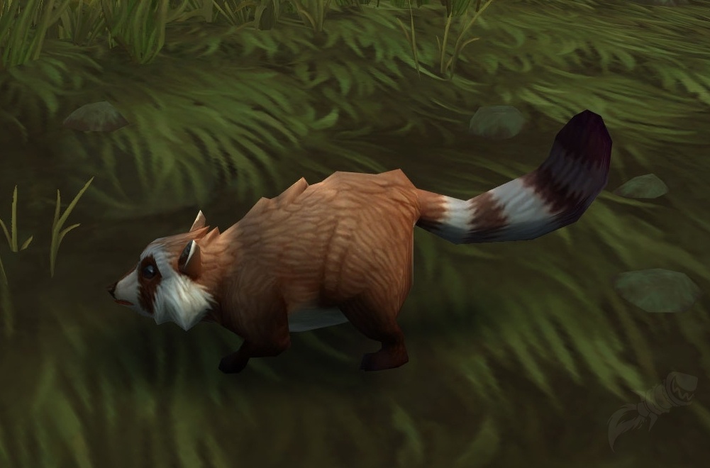 Ringtail Bandicoon - NPC - World of Warcraft