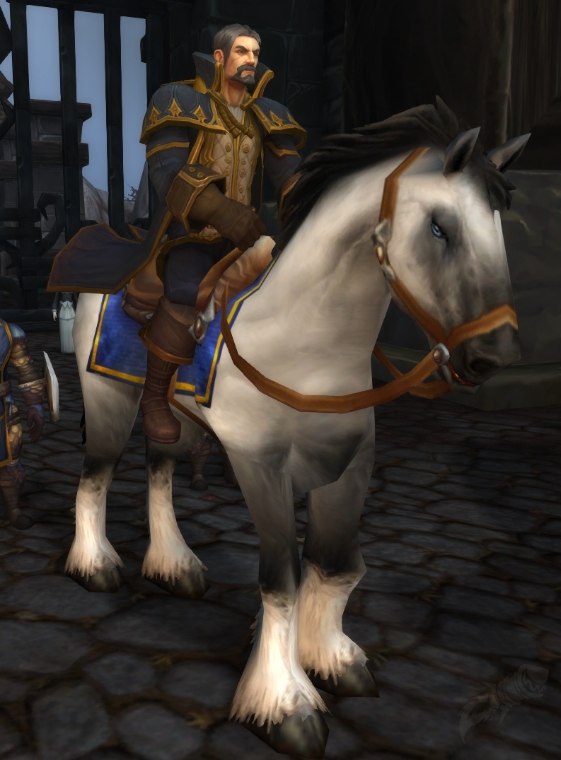 King Genn Greymane - NPC - World of Warcraft