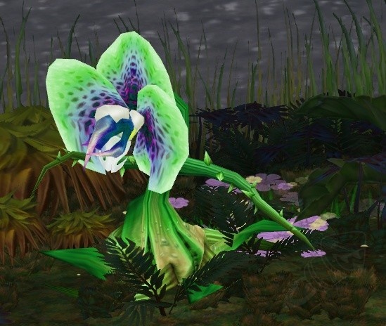 Servant of Freya - NPC - WotLK Classic