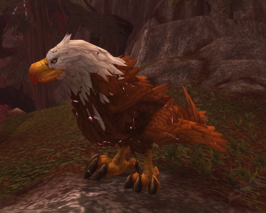 Horrid Eagle - NPC - World of Warcraft