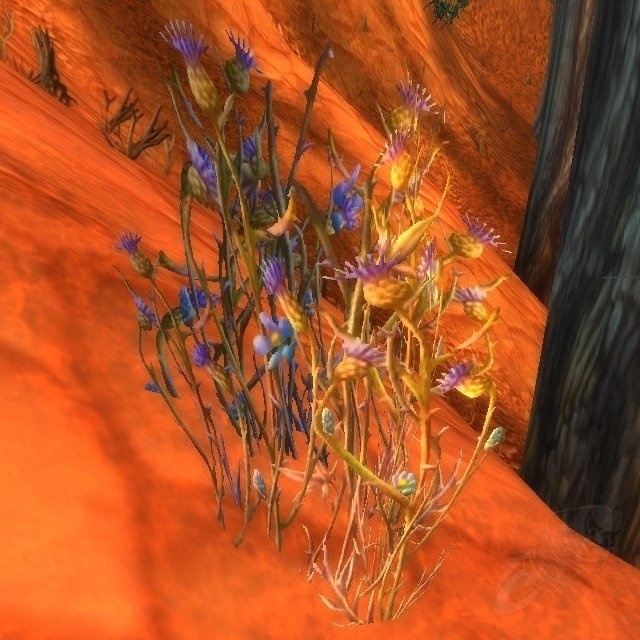 Bruiseweed - Object - Classic World of Warcraft