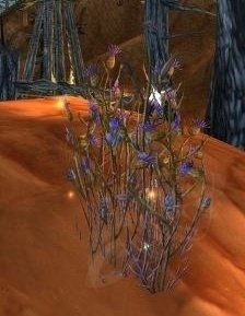 Bruiseweed - Object - TBC Classic