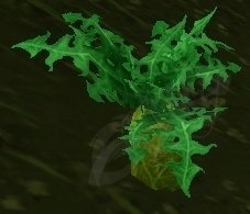 Golden Sansam - Object - Classic World of Warcraft