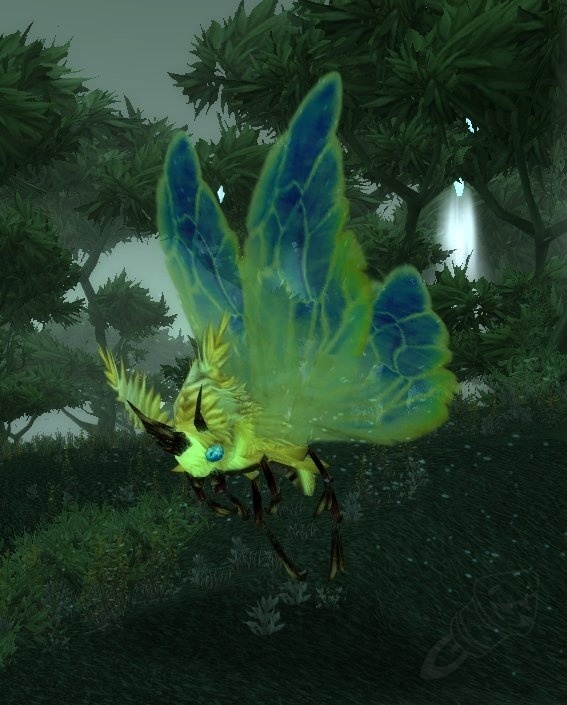 Royal Teromoth - NPC - WotLK Classic