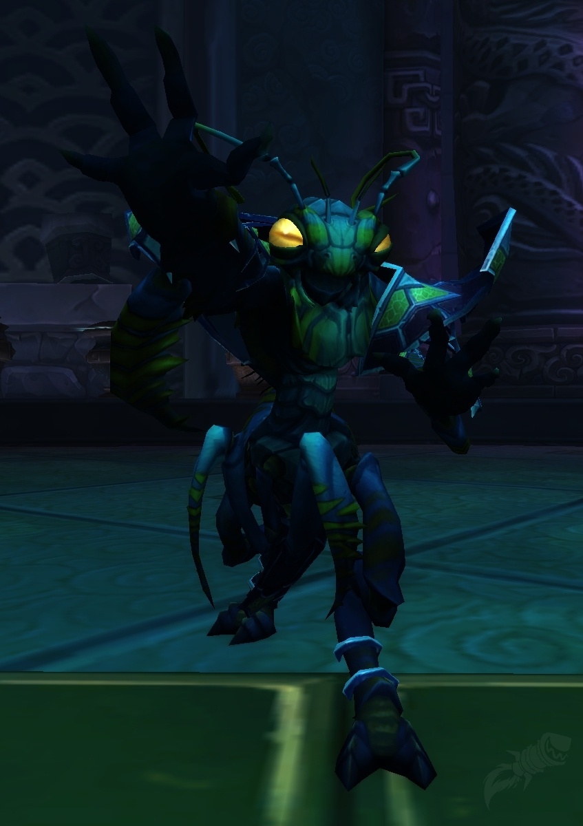 Invocateur sonderuche - PNJ - World of Warcraft