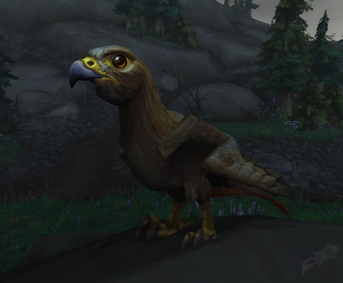 Effroi-du-ciel de Val-Renard - PNJ - World of Warcraft