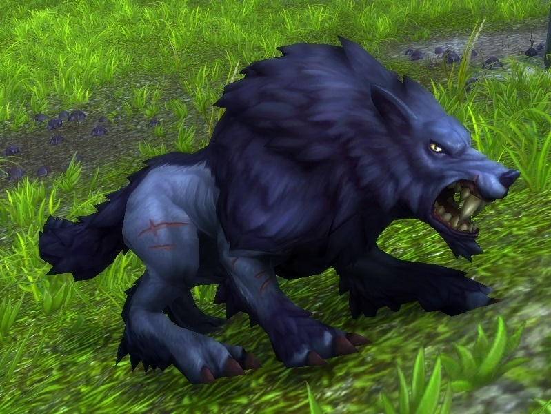 Highland Worg - NPC - World of Warcraft