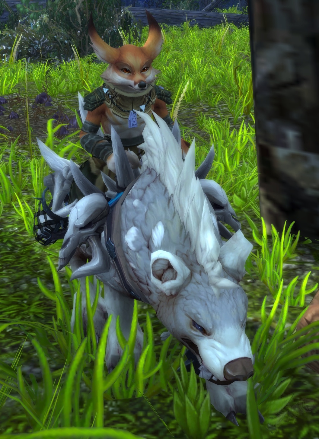 Kiro Npc World Of Warcraft