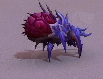 Aqir Scarab - NPC - World of Warcraft