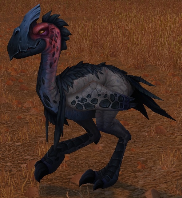 Ornery Plainstrider - NPC - World of Warcraft