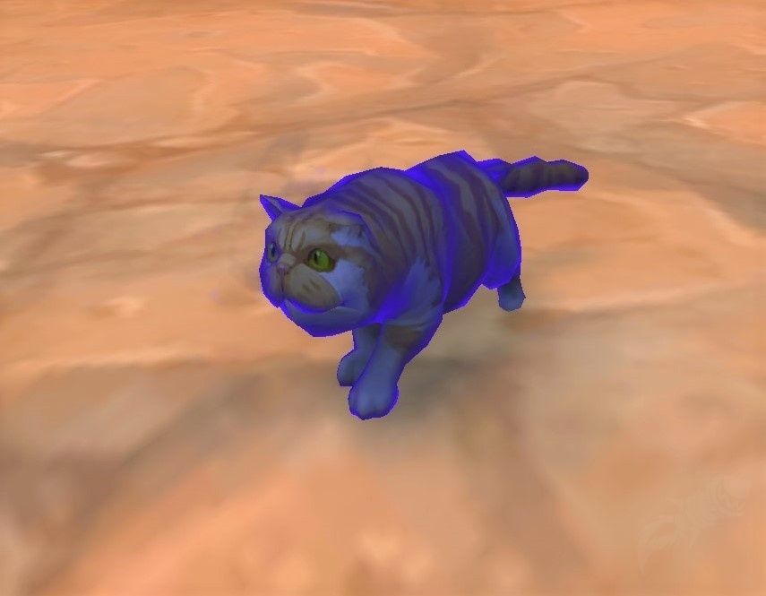 Gato marcado por el Vacío - PNJ - World of Warcraft