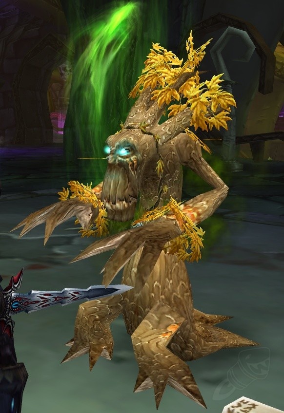 Cenarion Scout - NPC - World of Warcraft