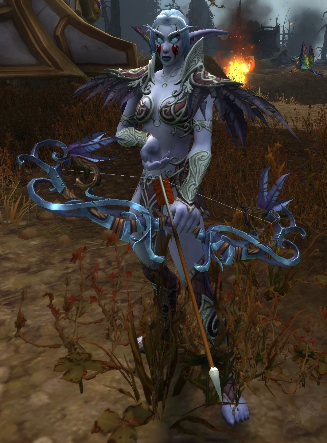 Arquero Darnassiano Pnj World Of Warcraft