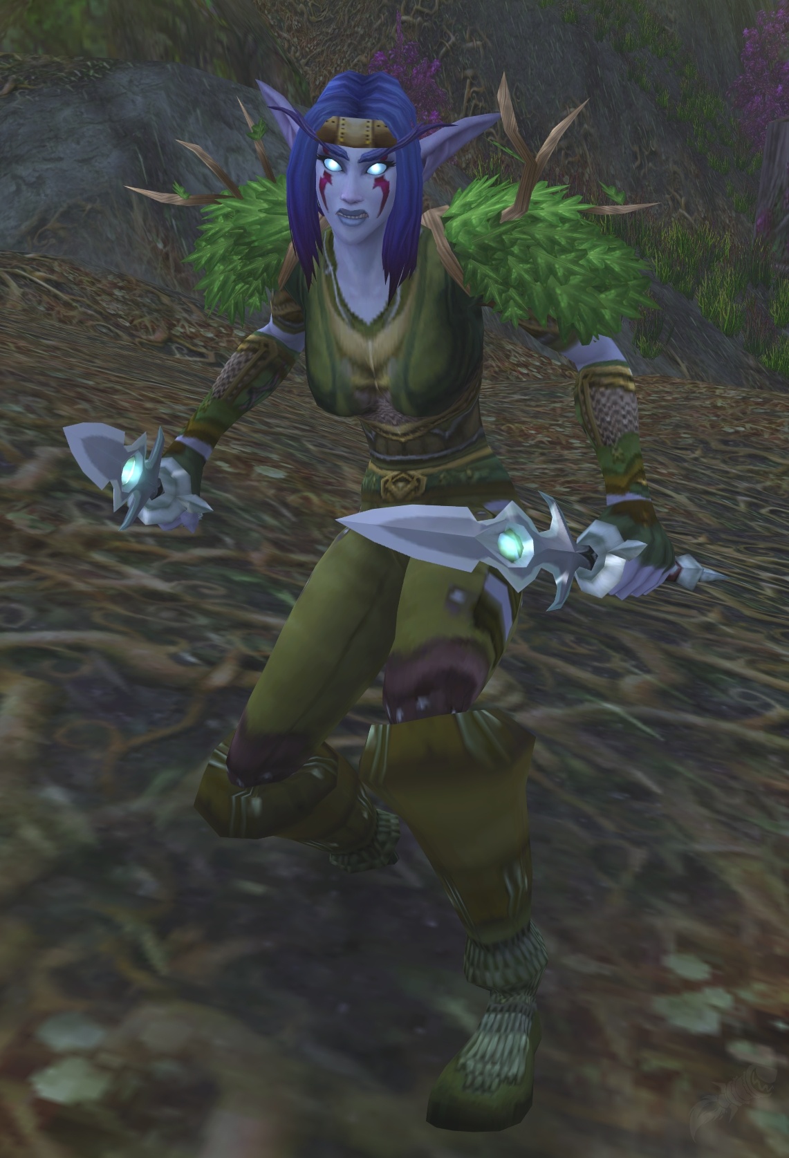 Ashenvale Assassin - NPC - World of Warcraft