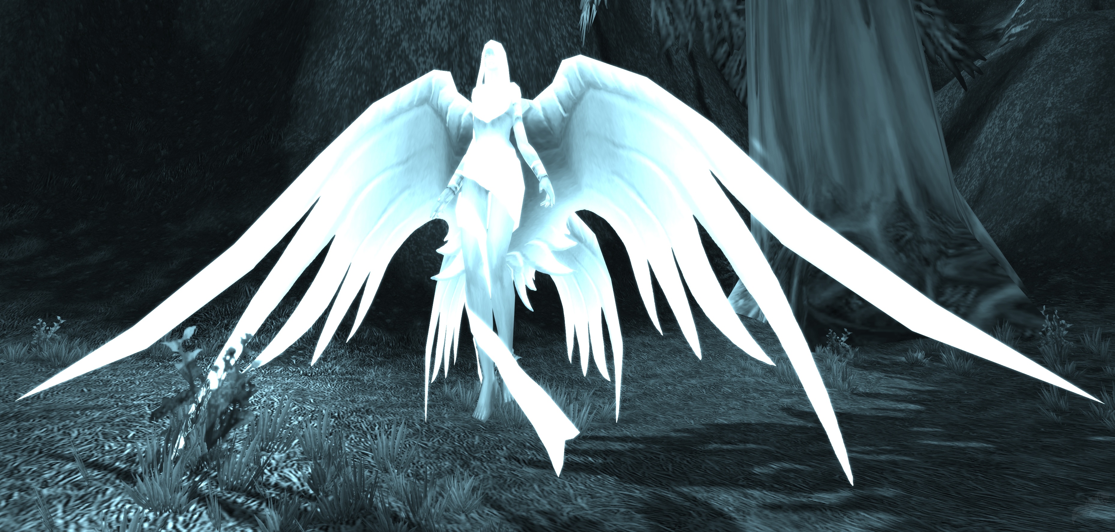 Anara - NPC - World of Warcraft