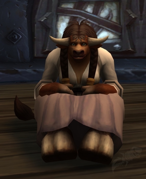 Orphan Matron Twinbreeze - NPC - World of Warcraft