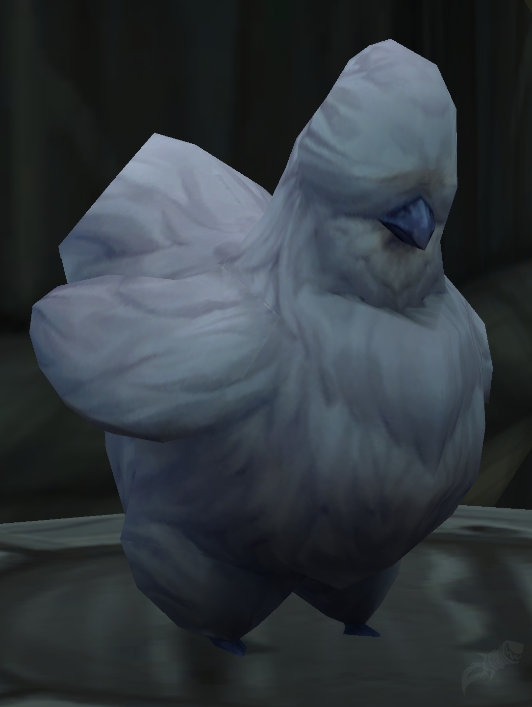 Pollo augusto - PNJ - World of Warcraft