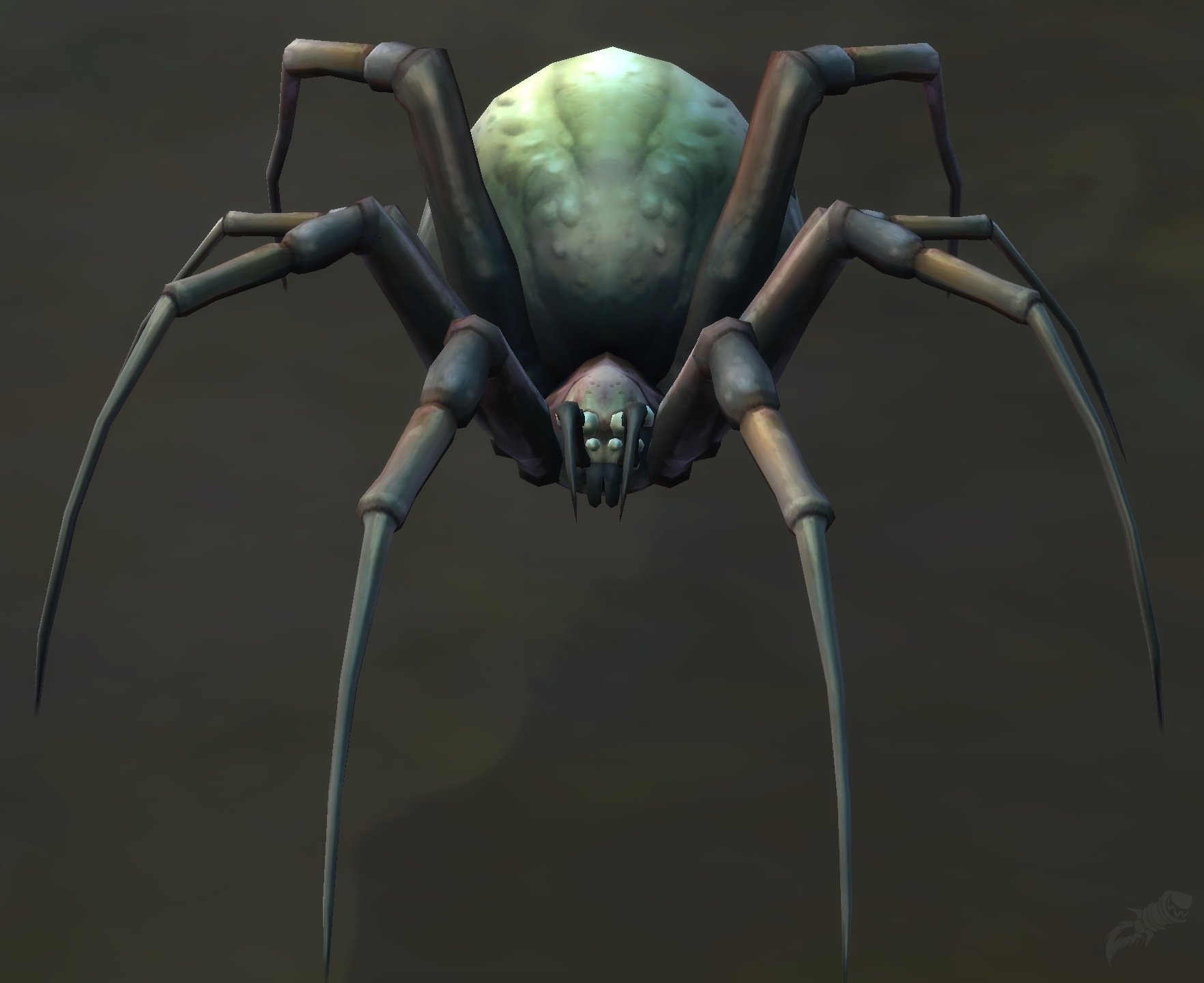 Silverweb Spider - NPC - World of Warcraft