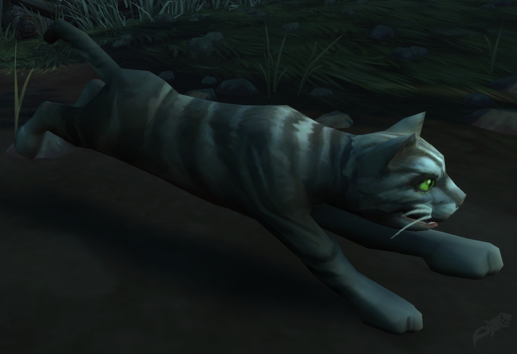 Gato de Rua - PNJ - World of Warcraft