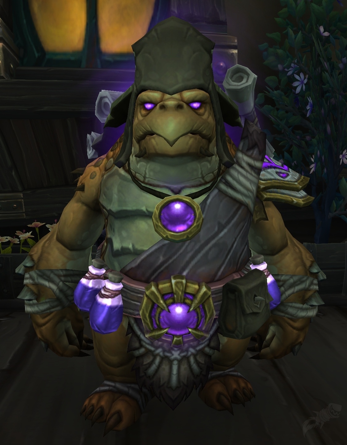 Chronicler Toopa - NPC - World of Warcraft