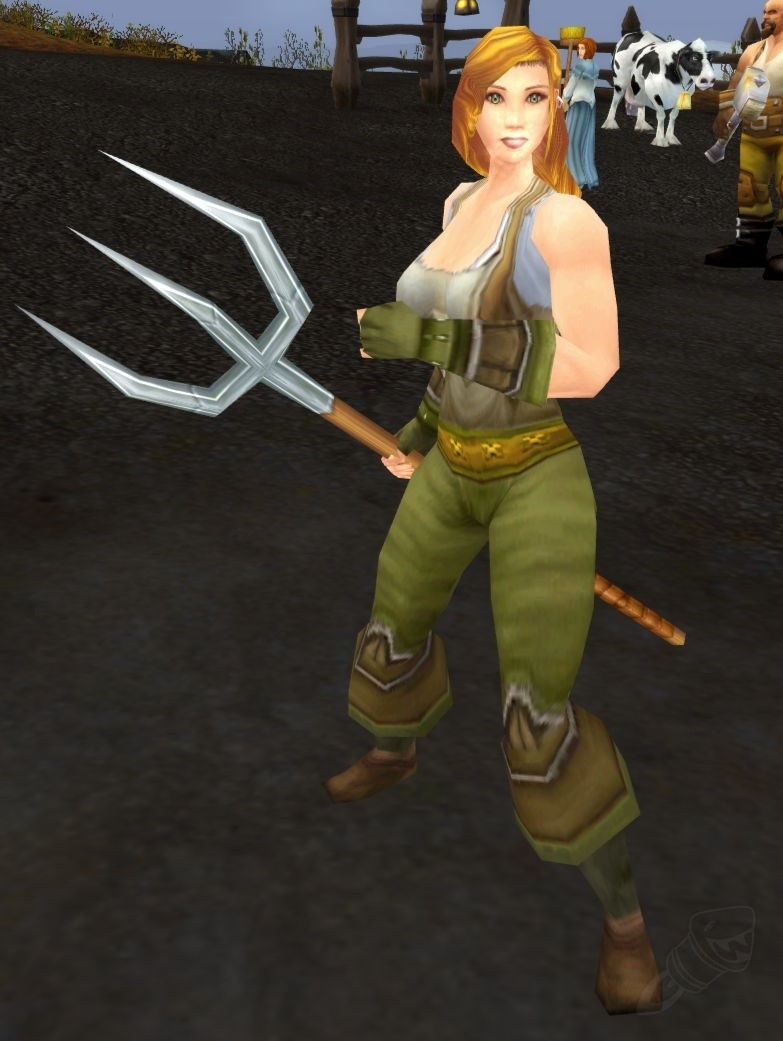 Farshire Militia - NPC - WotLK Classic