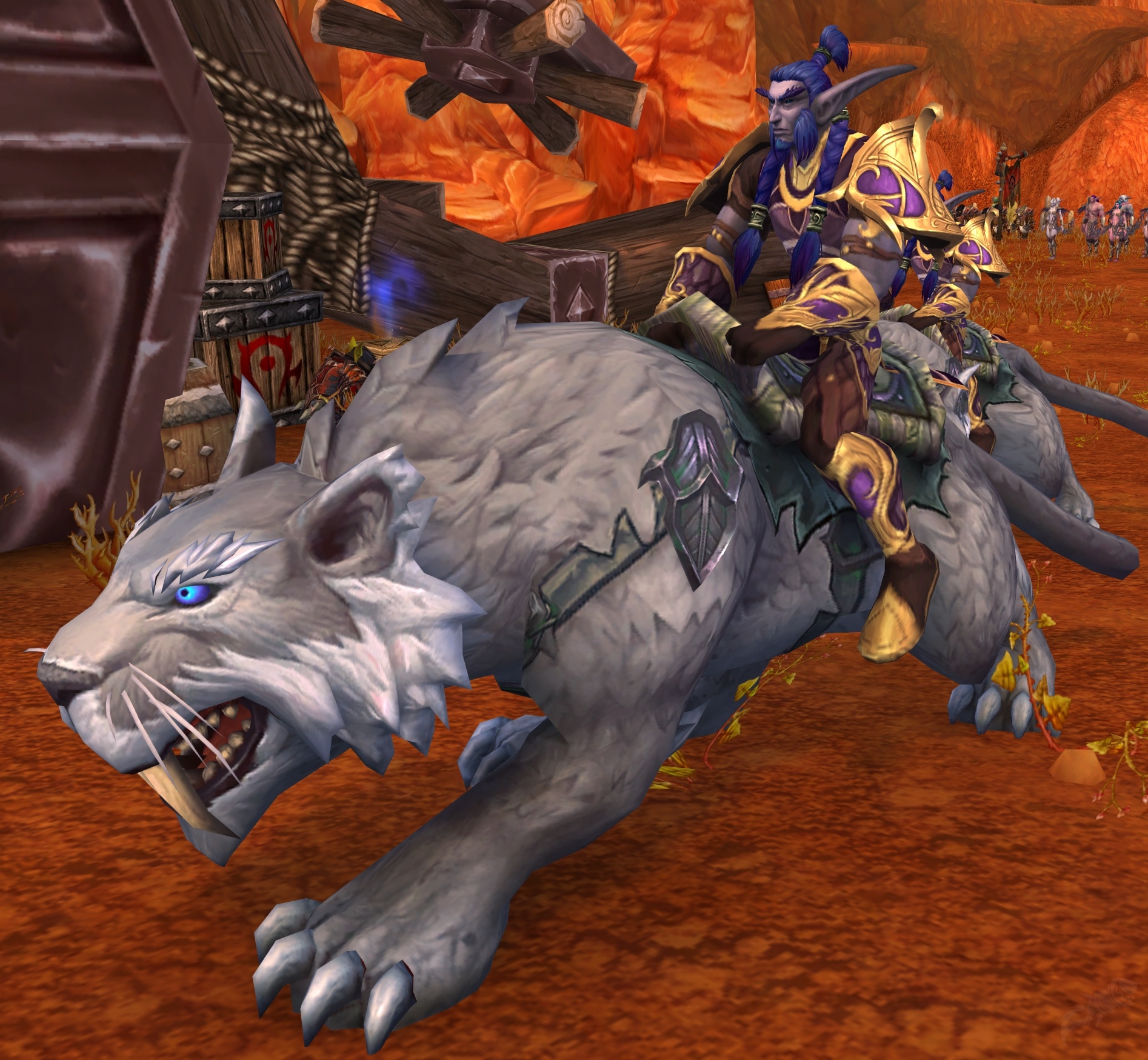 Sentinelle kaldorei - PNJ - World of Warcraft
