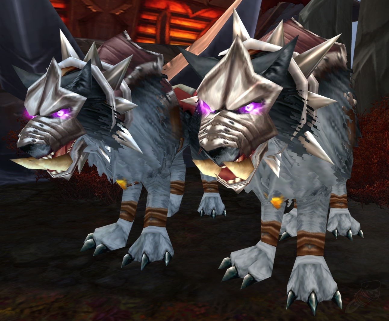 Bor'gorok Wolf - NPC - World of Warcraft
