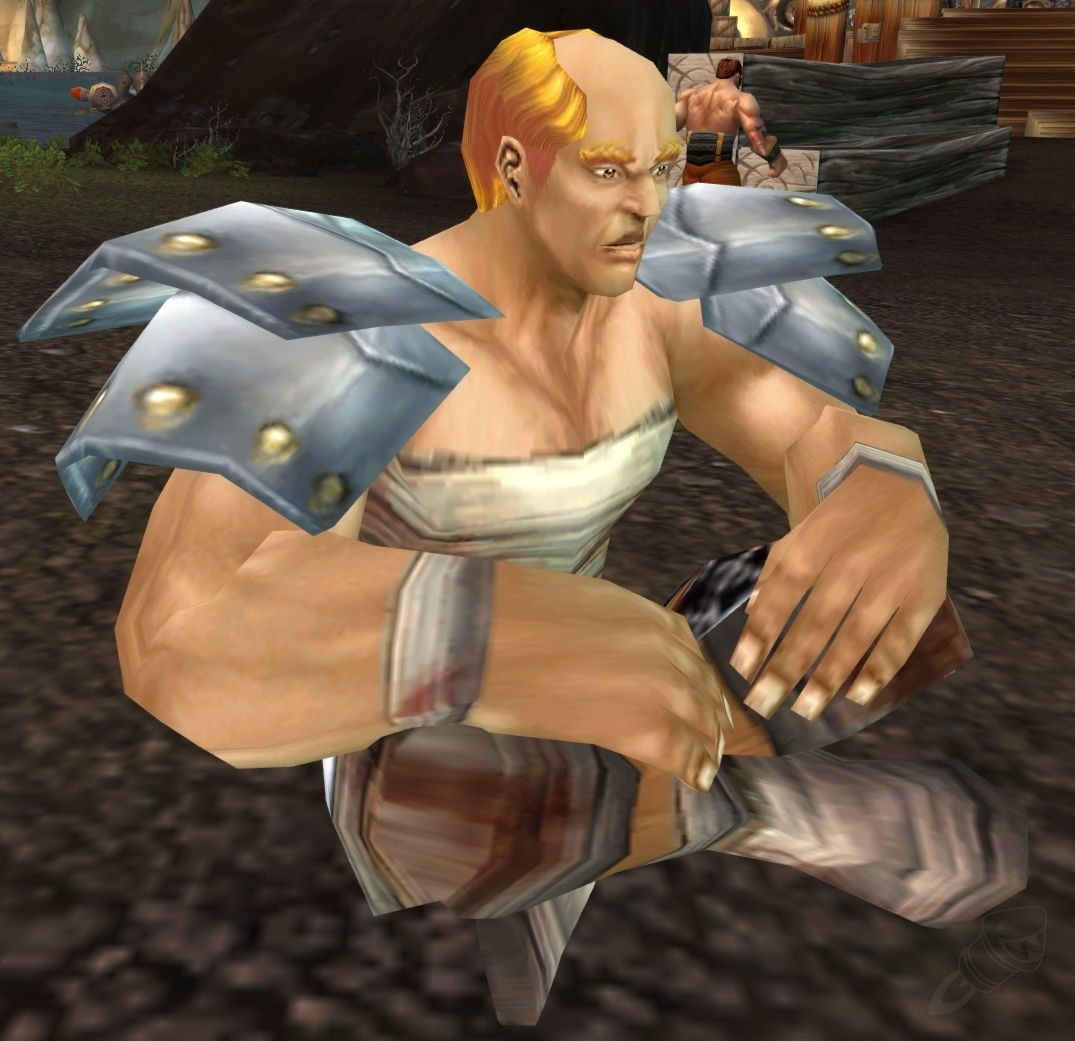 Injured Defender - NPC - WotLK Classic