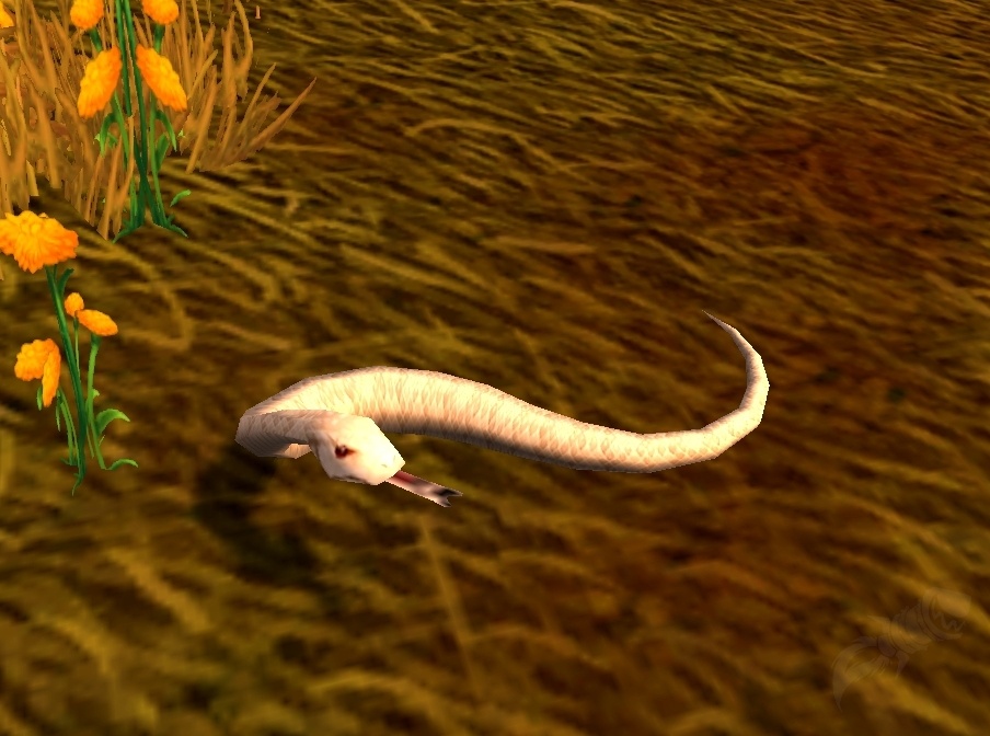 Enervated Adder - NPC - World of Warcraft