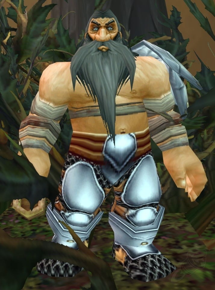 Defender Mordun - NPC - WotLK Classic