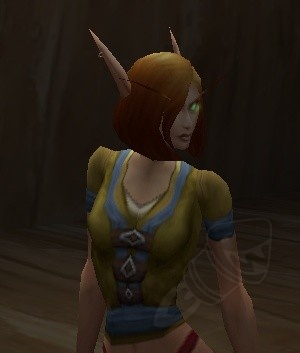 Bright Armor - Item - World of Warcraft