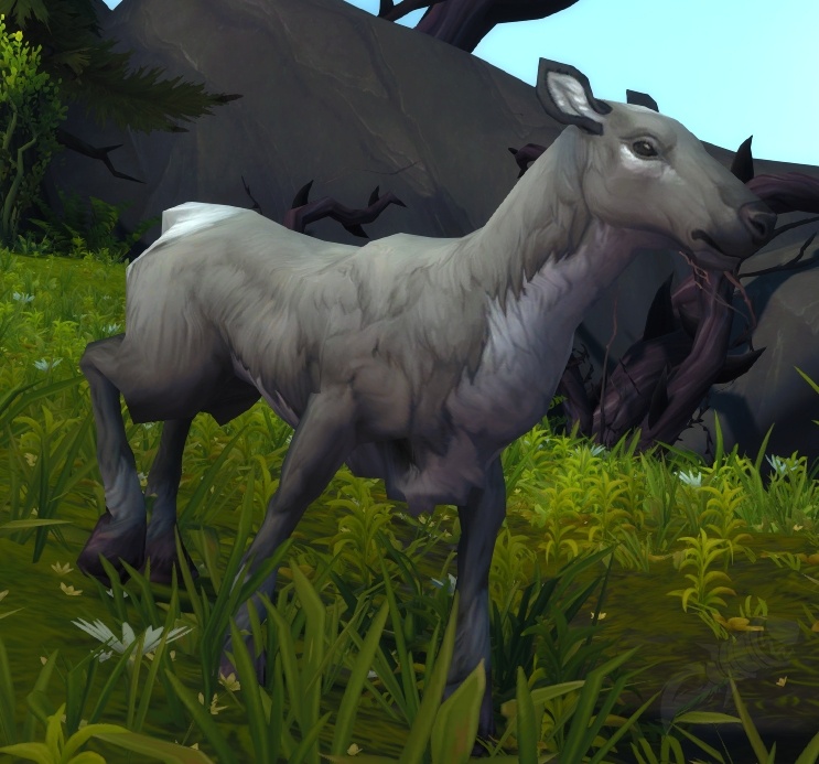Plains Doe - NPC - World of Warcraft