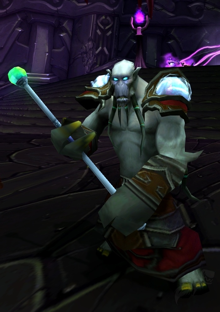 Ashtongue Elementalist - NPC - World of Warcraft