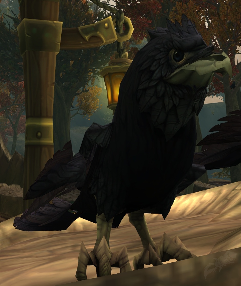 Watchful Raven - NPC - World of Warcraft