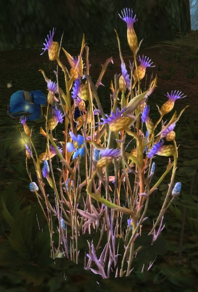 Haze Leaf - Item - WotLK Classic