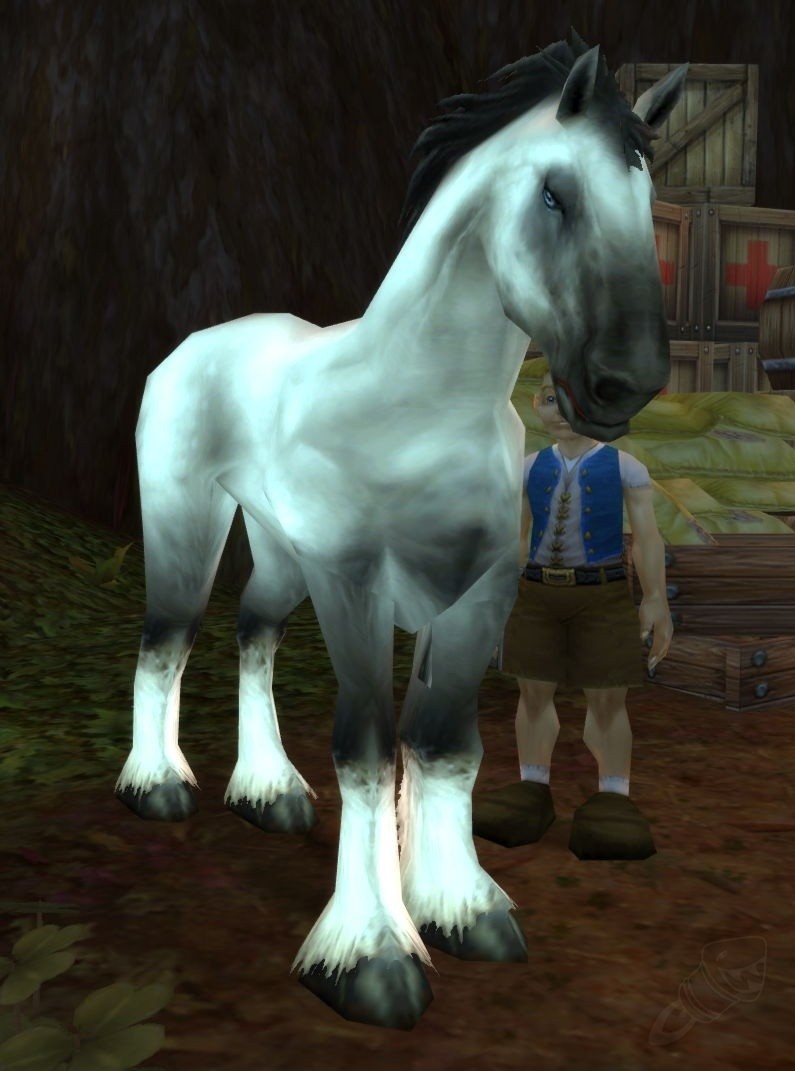 Old Blanchy - NPC - WotLK Classic