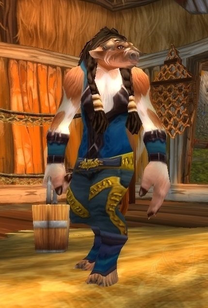 Innkeeper Sikewa - NPC - Classic World of Warcraft