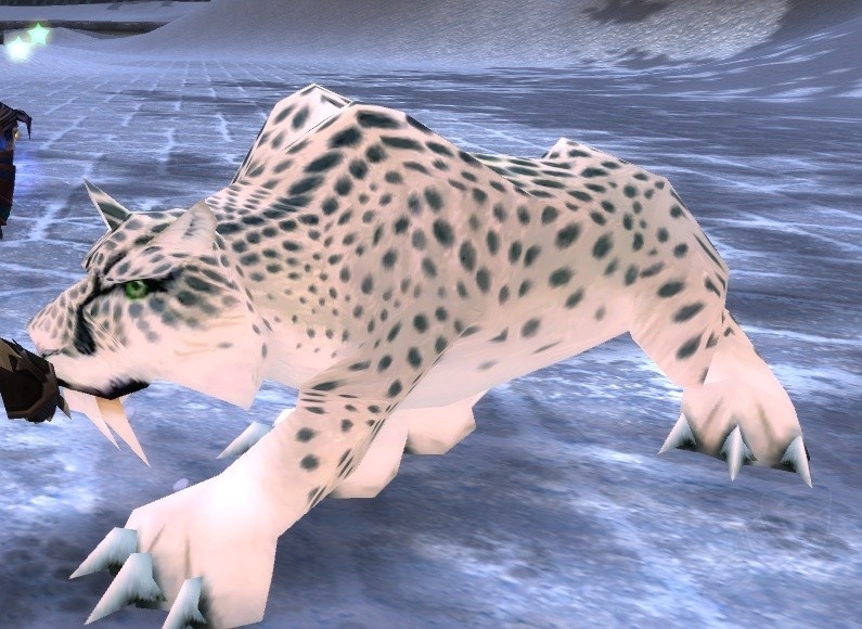 Frost Leopard - NPC - World of Warcraft