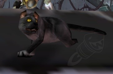 Xena - PNJ - WotLK (clássico)