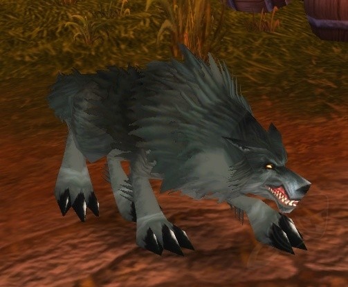 Struppi - NPC - WotLK Classic