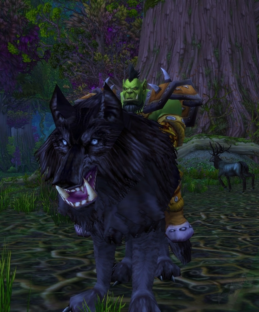 Warsong Guardian - NPC - World of Warcraft